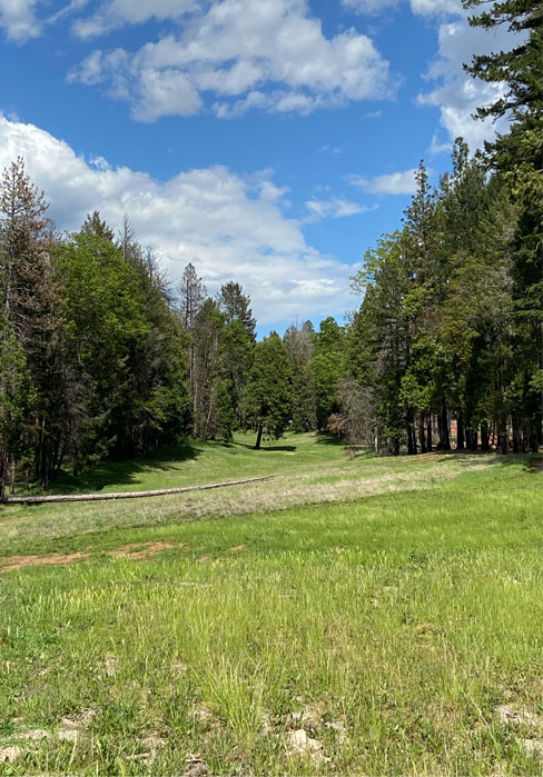 Magalia Community Center